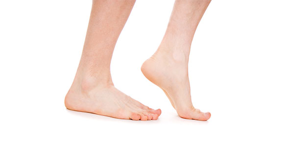 Toes, Foot, Heel, Ankle Flashcards by ProProfs