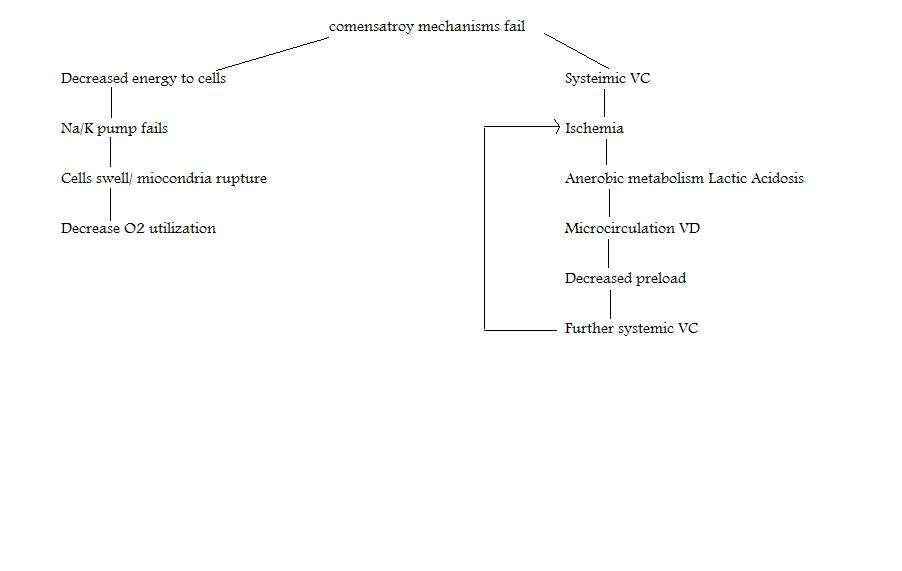 Understanding Shock: Stages, Pathophysiology, and Management Quiz ...