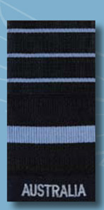 ADF Ranks Flashcards Flashcards by ProProfs